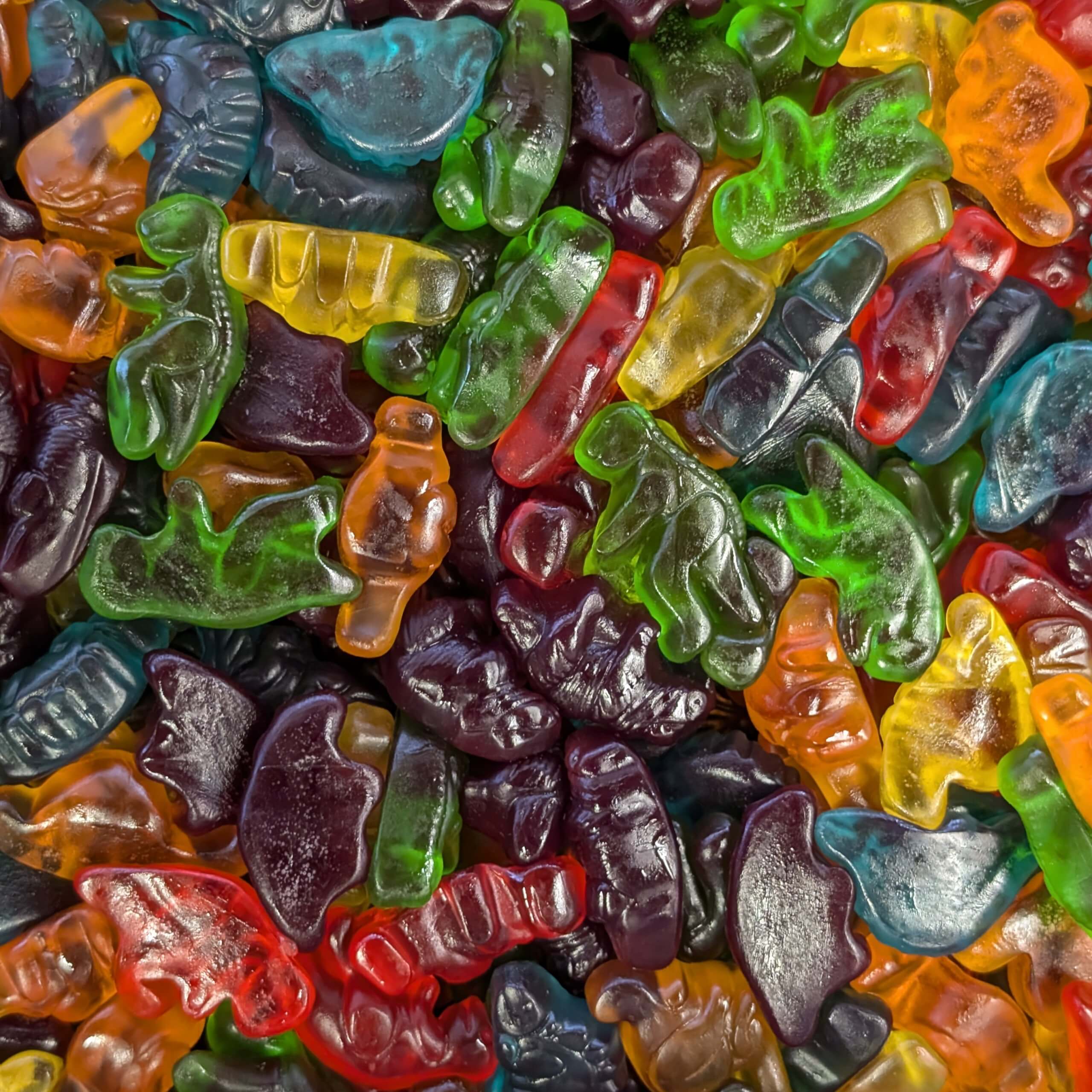 Imported Gummi Dinosaurs 8 oz – Pearls Candy & Nuts NH