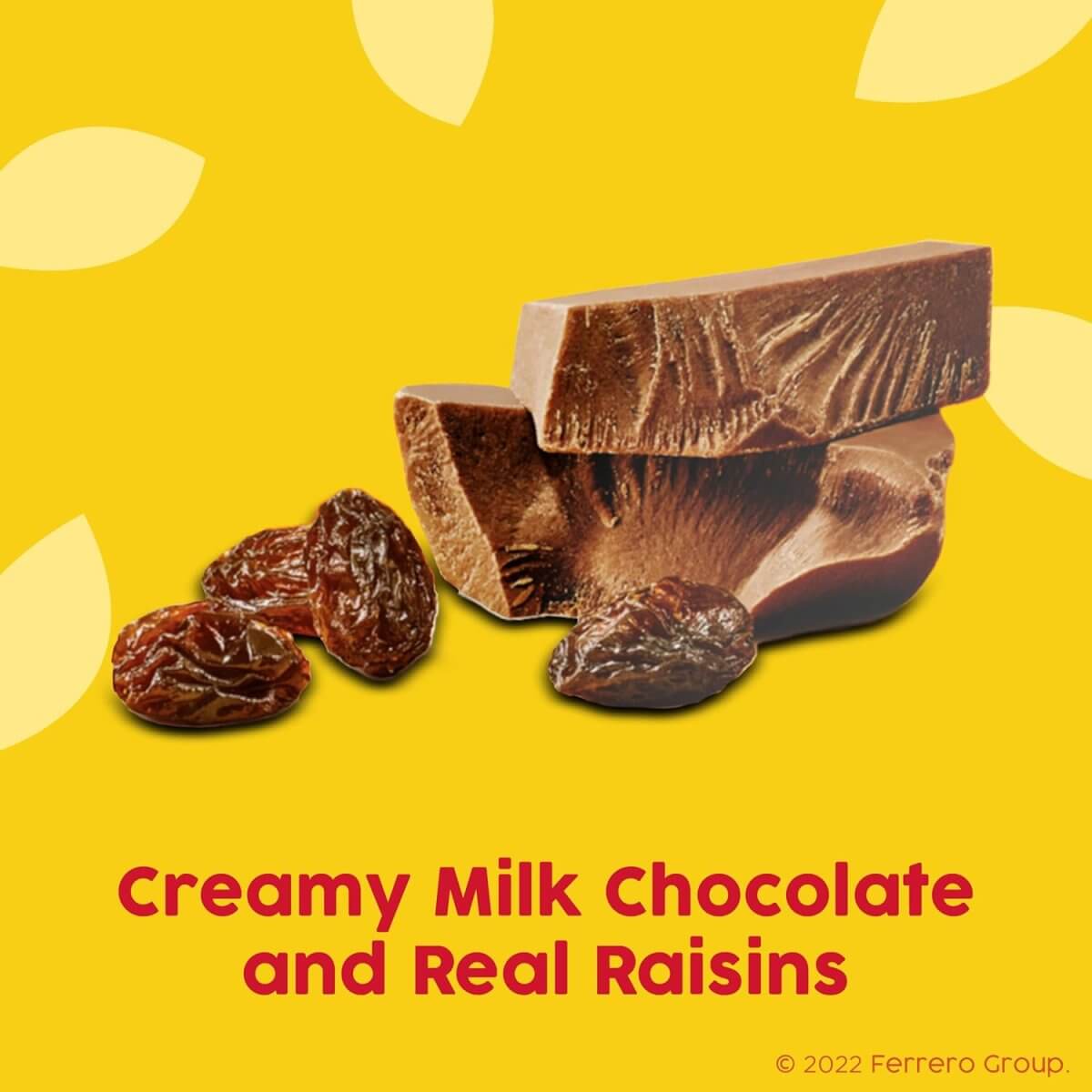 Raisinets Milk Chocolate 3.1 oz – Pearls Candy & Nuts NH